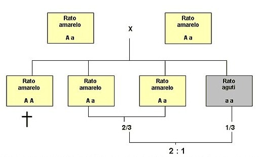 Genes Letais :: Genética Virtual